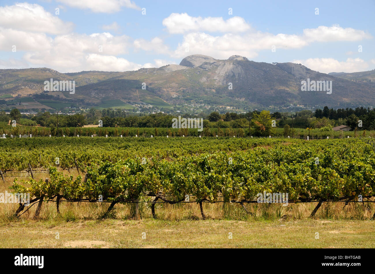 Paarl south africa High Resolution Stock Photography and Images - Alamy