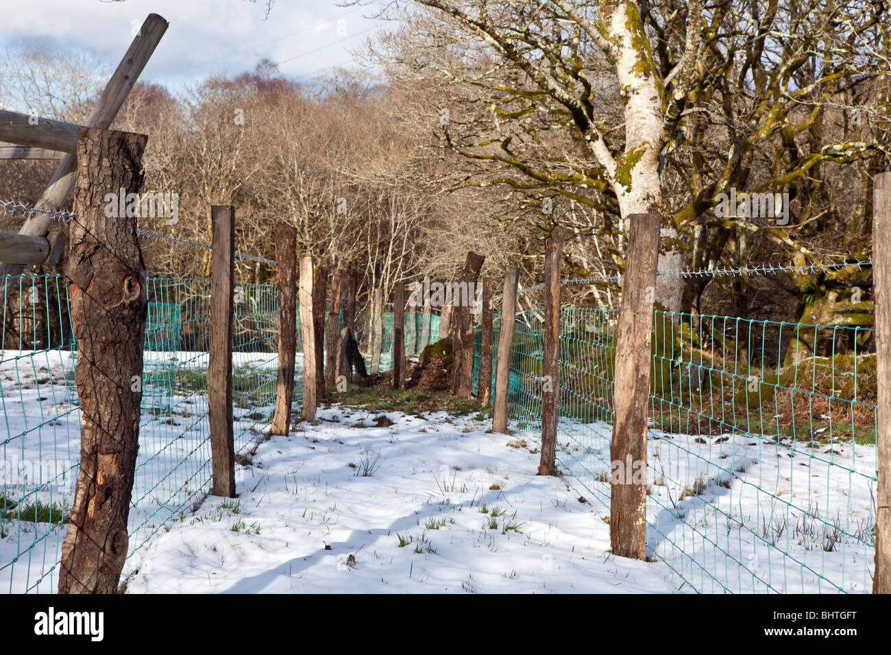 Newly erected Bat Friendly Fencing Stock Photo - Alamy