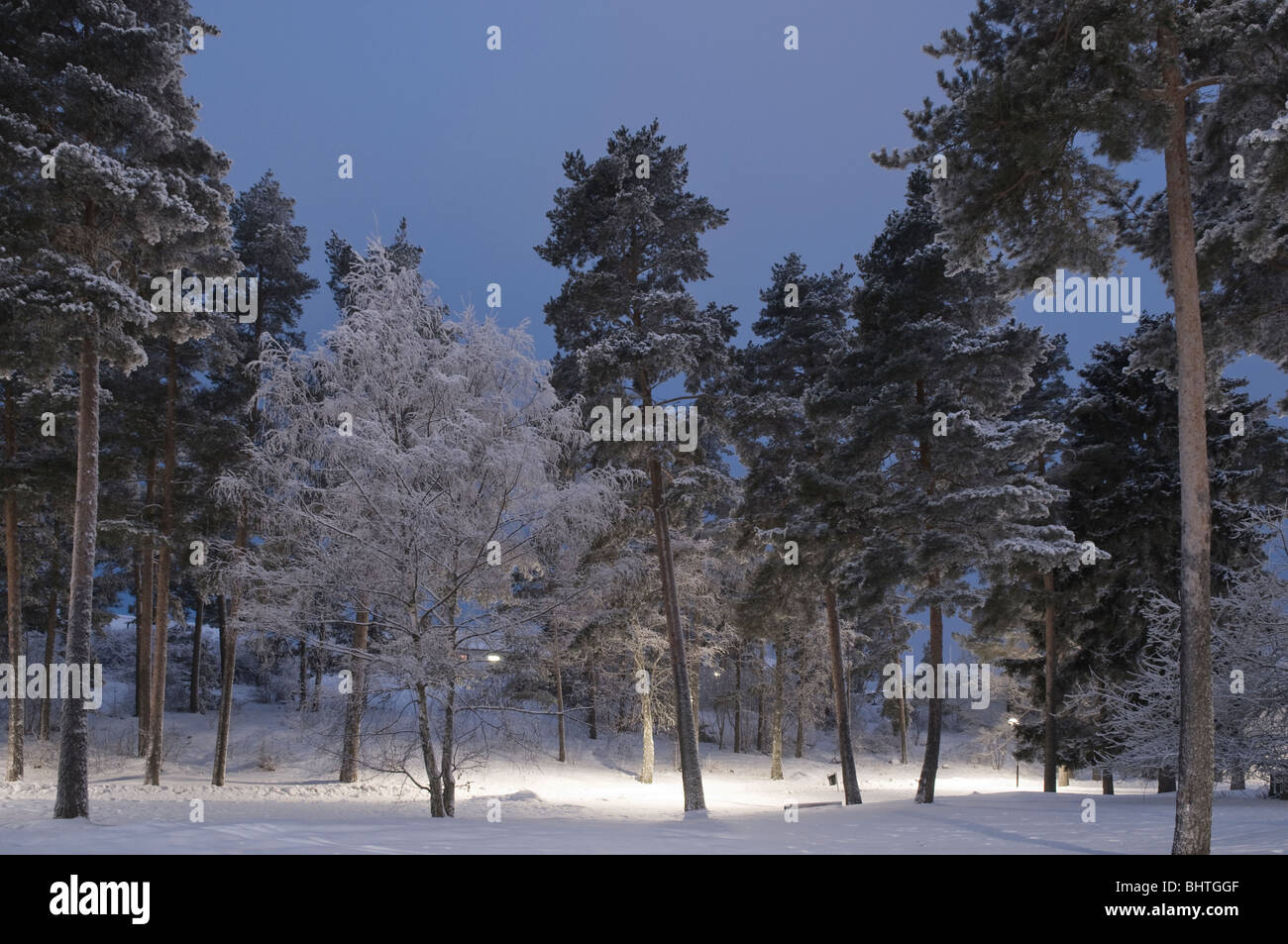 Night in the suburb. Winter, snow and cold Stock Photo - Alamy