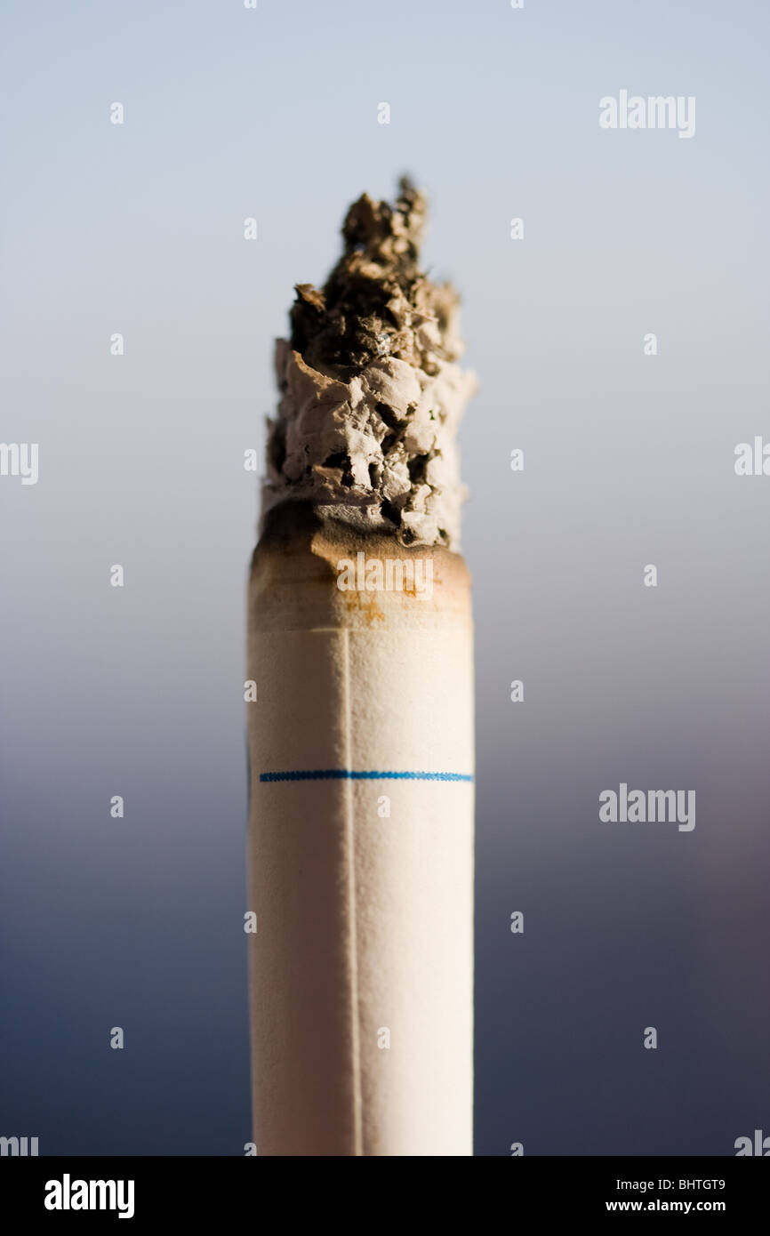 Burned cigarette isolated on gradient background Stock Photo - Alamy
