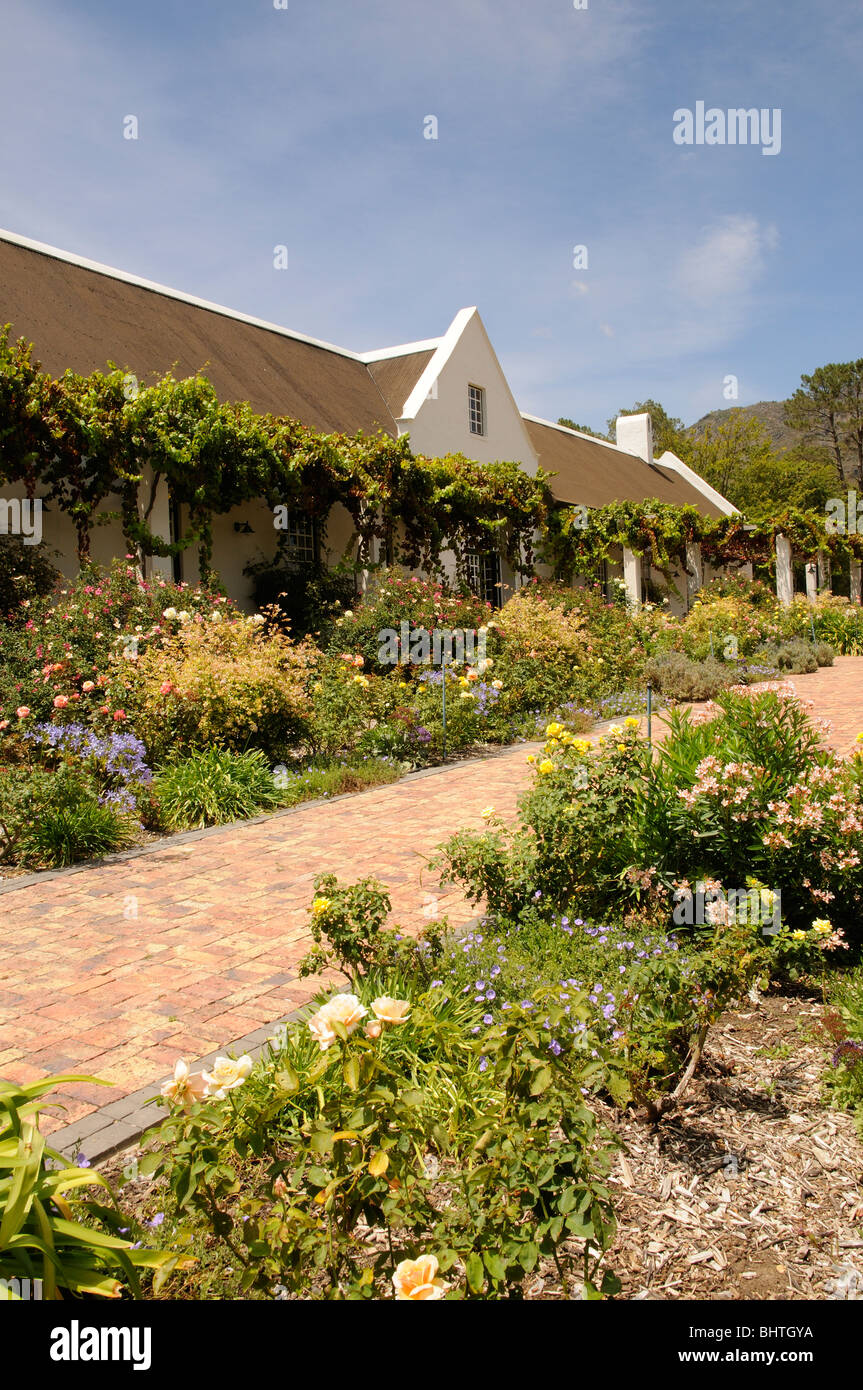 Vine covered building hi-res stock photography and images - Alamy