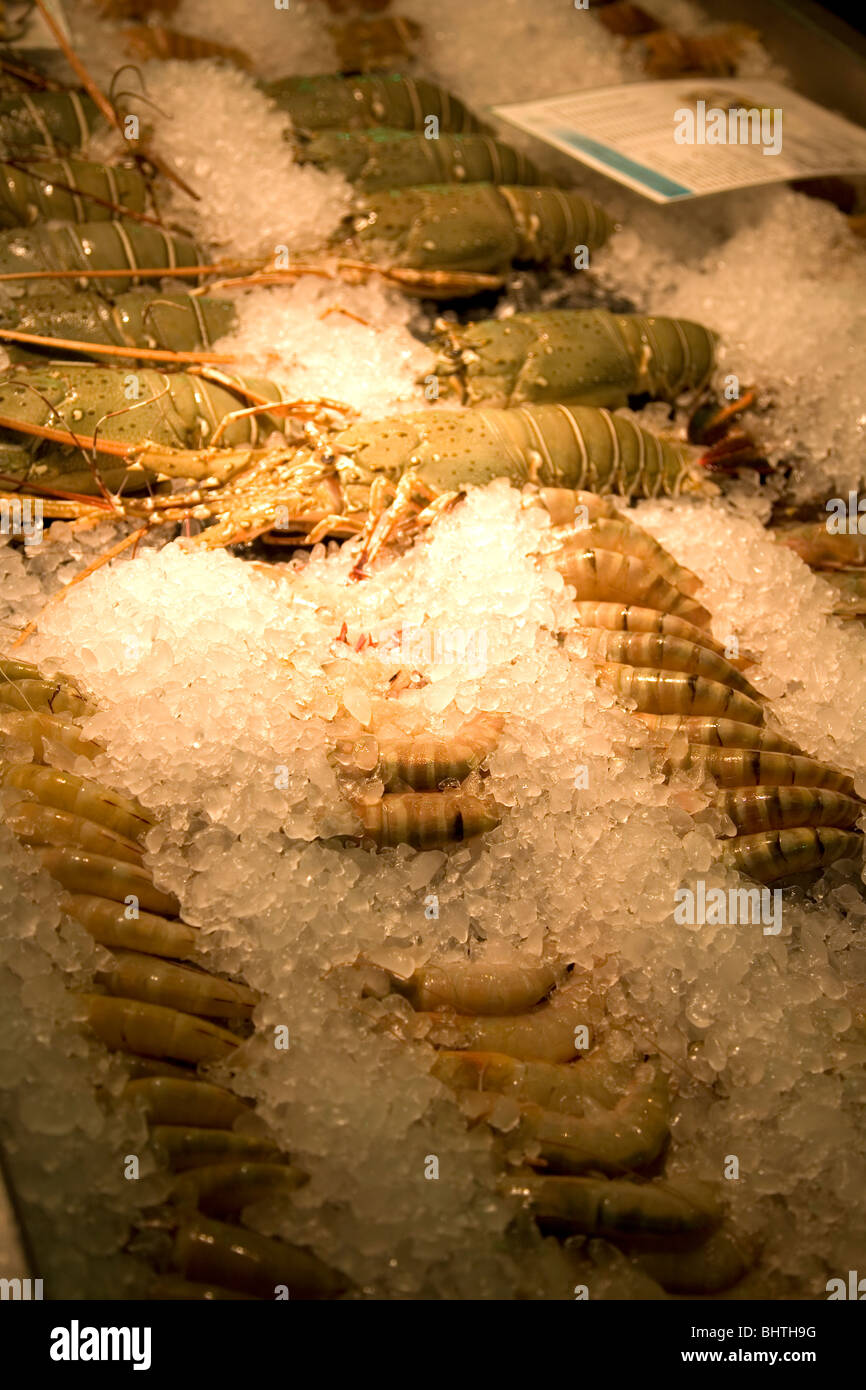 Shellfish display hi-res stock photography and images - Alamy