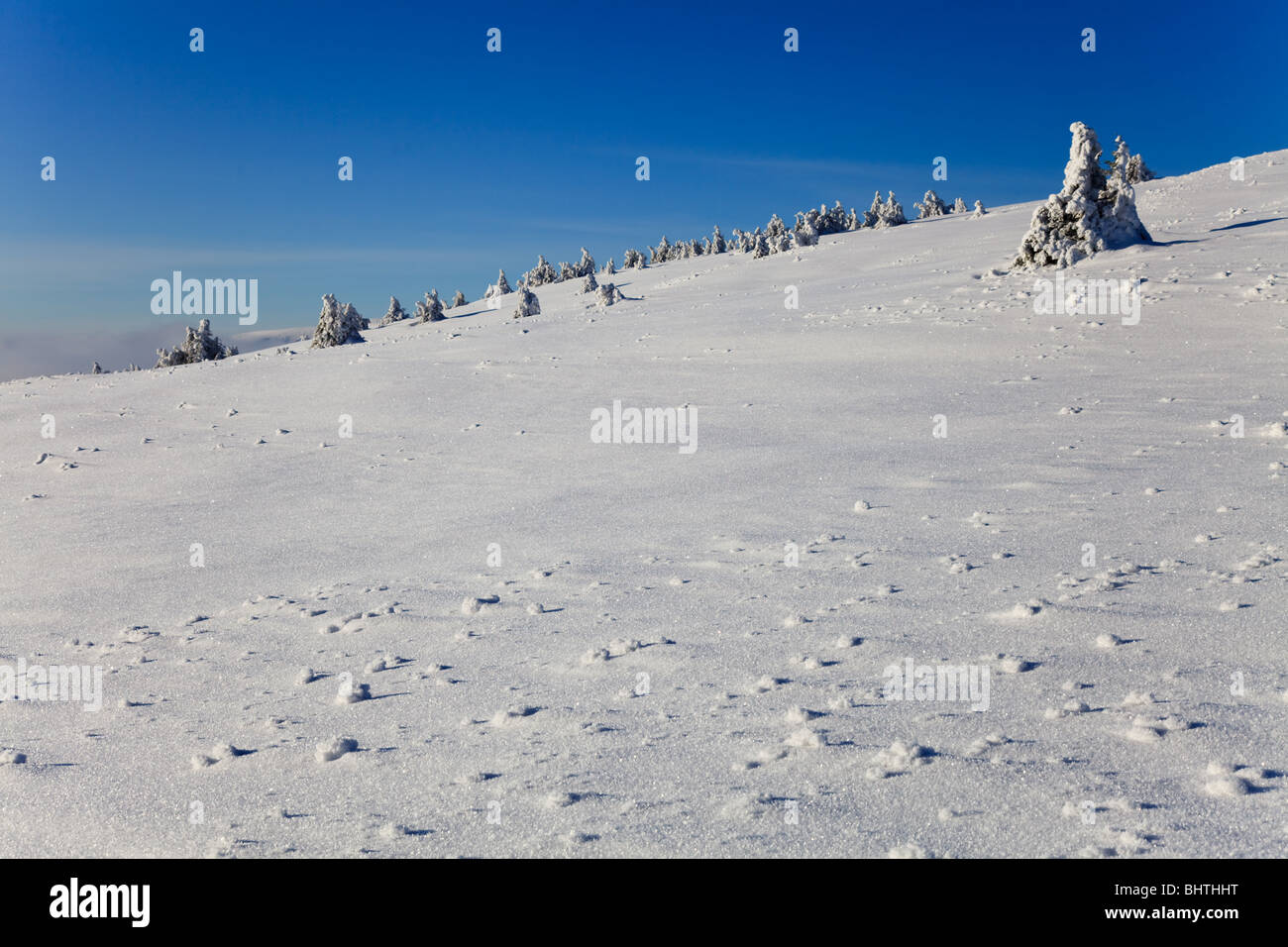 Day time and landscape hi-res stock photography and images - Alamy