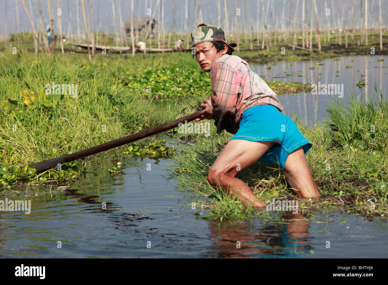 Burma agriculture hi-res stock photography and images - Alamy
