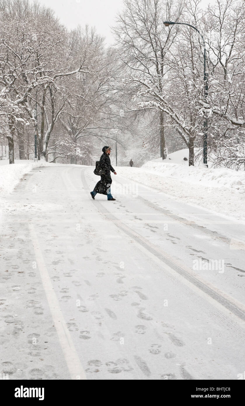 Woman walking in the snow a walk in the park hi-res stock photography ...