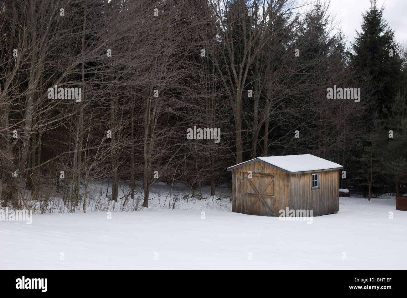 Shack in woods hi-res stock photography and images - Alamy