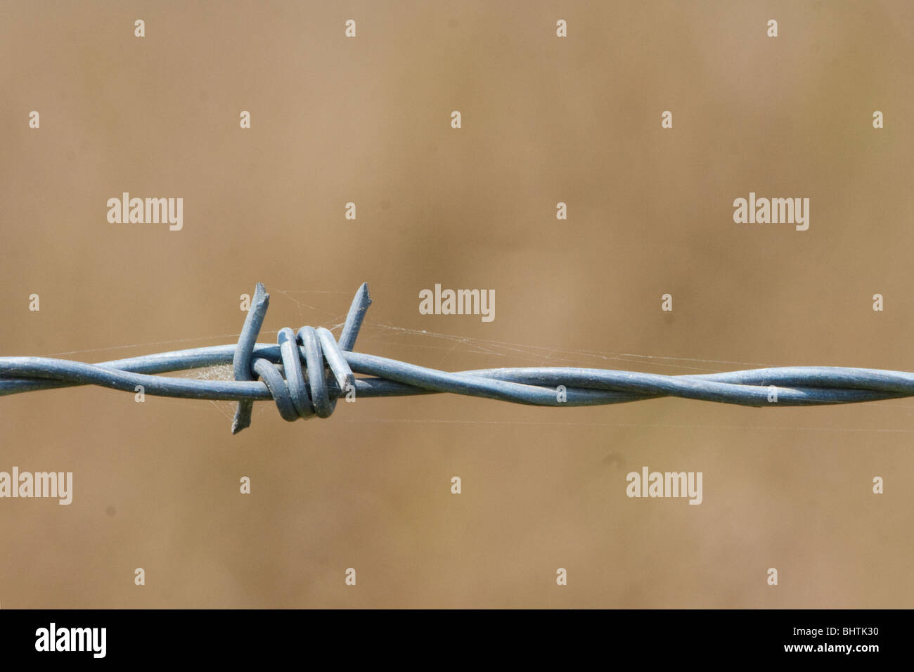 Steel wire strand hi-res stock photography and images - Alamy