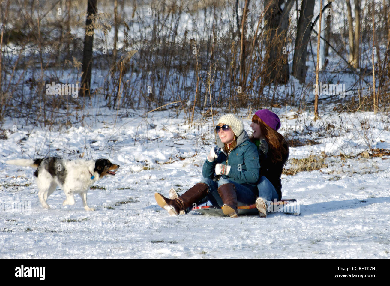 Two Teenage Girls Sledding with Dog in Cherokee Park in Louisville ...