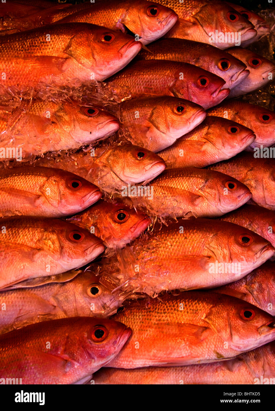 Red Snapper on Ice Stock Photo - Alamy