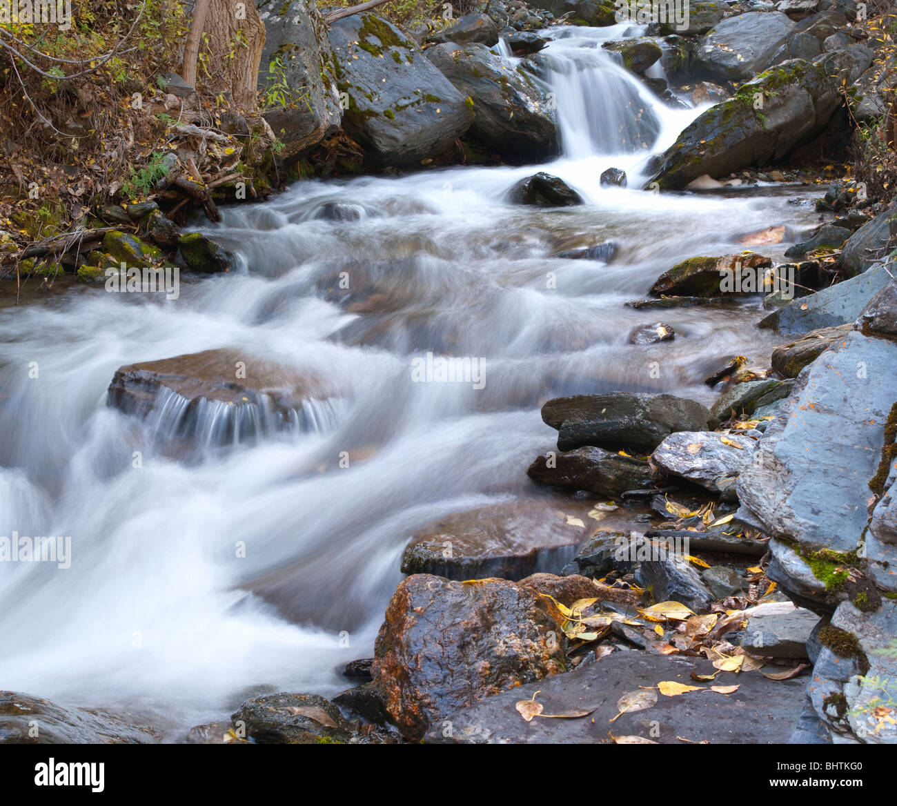 Brook with large stones hi-res stock photography and images - Alamy