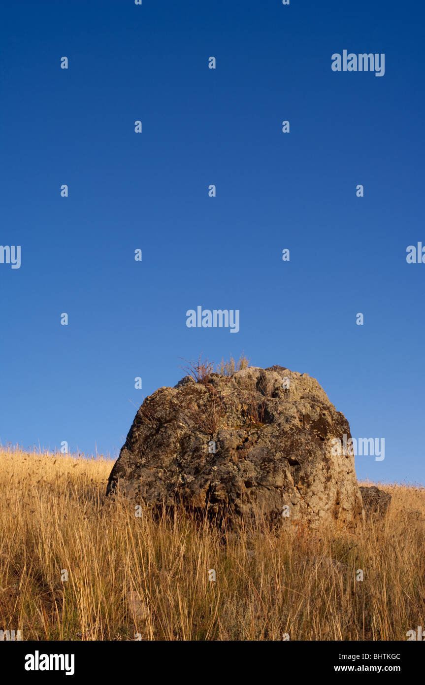 Withered stone hi-res stock photography and images - Alamy