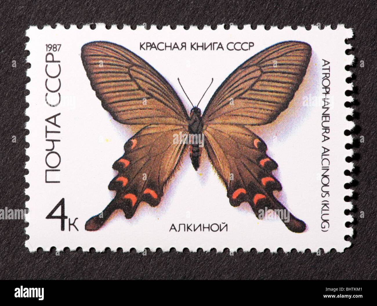 Postage stamp from the Soviet Union showing a swallowtail butterfly ...