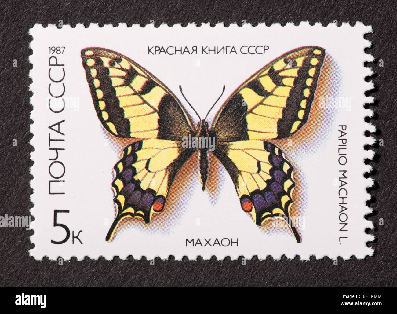 Postage stamp from the Soviet Union showing a swallowtail butterfly ...