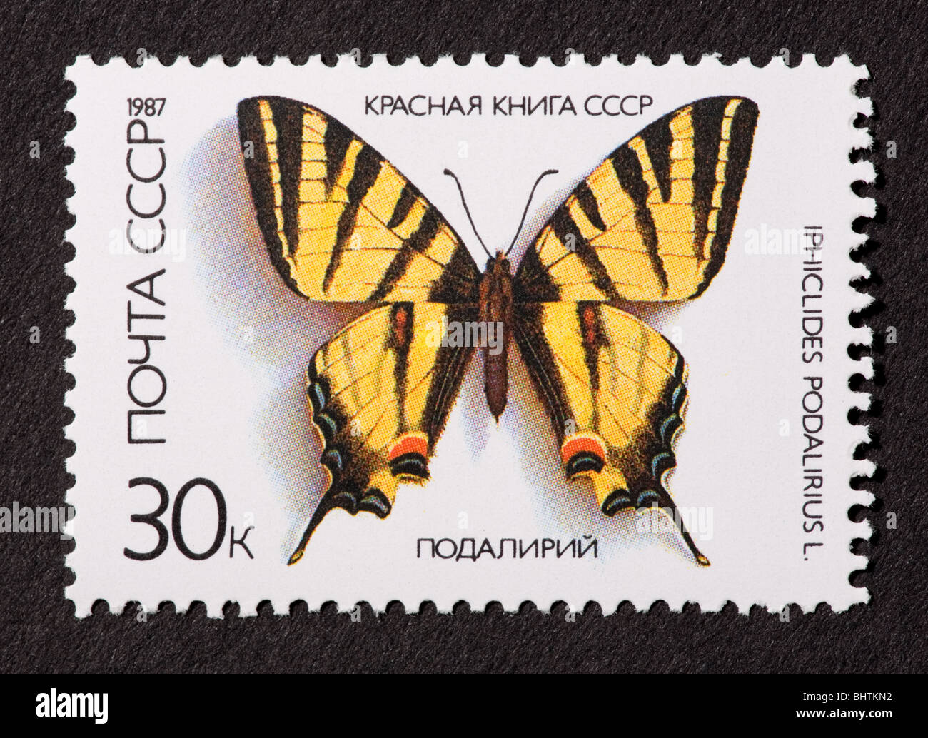Postage stamp from the Soviet Union showing a swallowtail butterfly ...