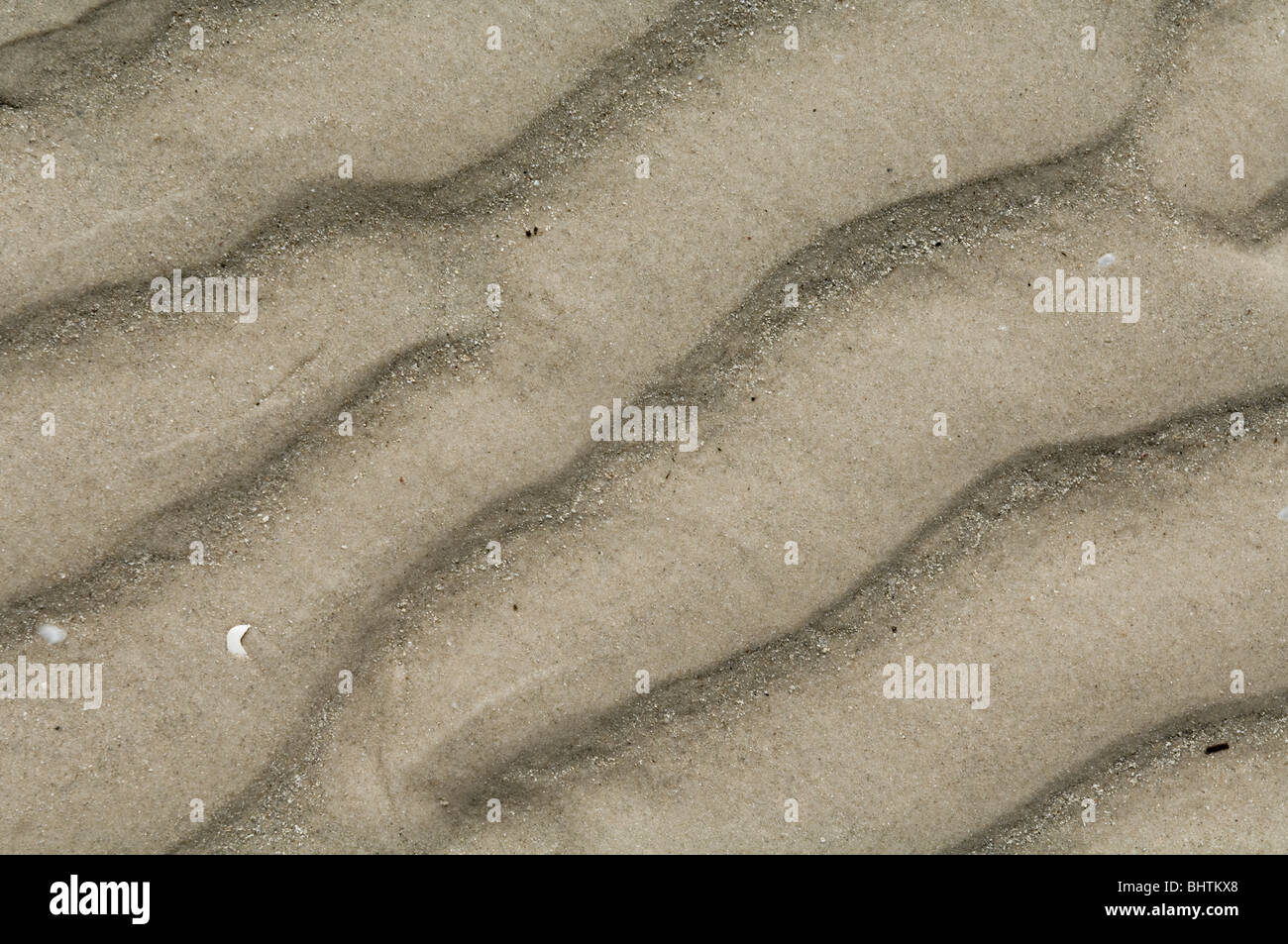 Close up of Sand at the beach perfect background / texture Stock Photo ...