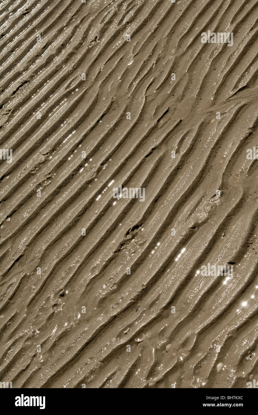 Close up of Sand at the beach perfect background / texture Stock Photo ...