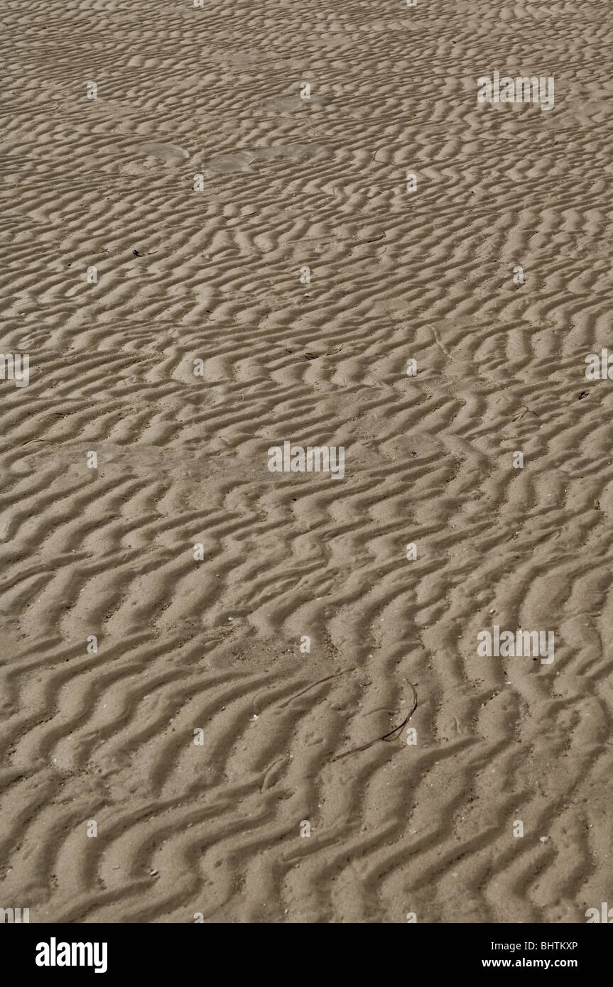 Close up of Sand at the beach perfect background / texture Stock Photo ...