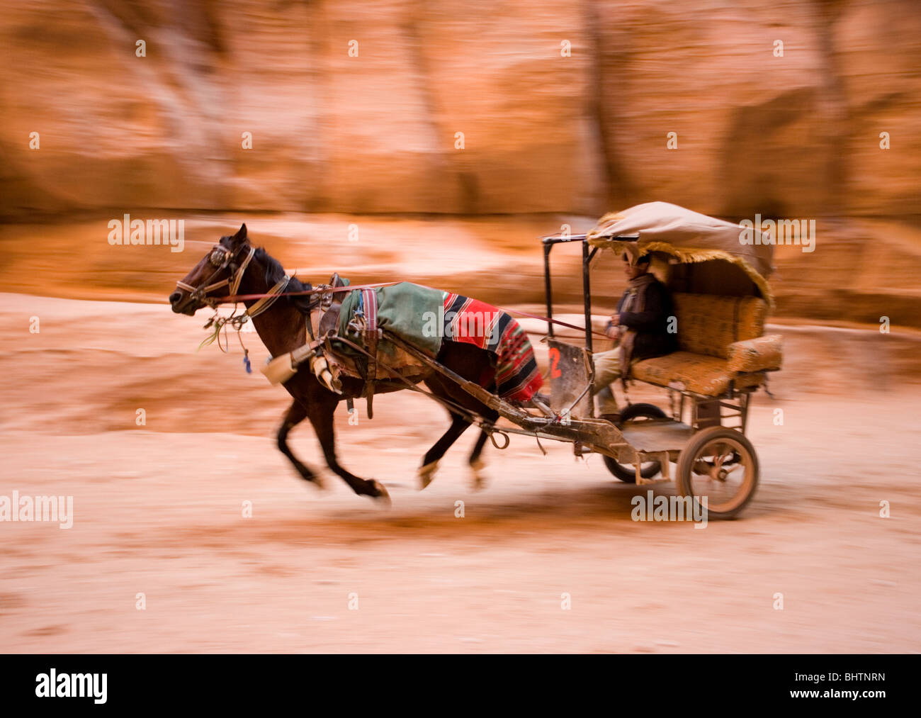 Riding horse buggy High Resolution Stock Photography and Images - Alamy