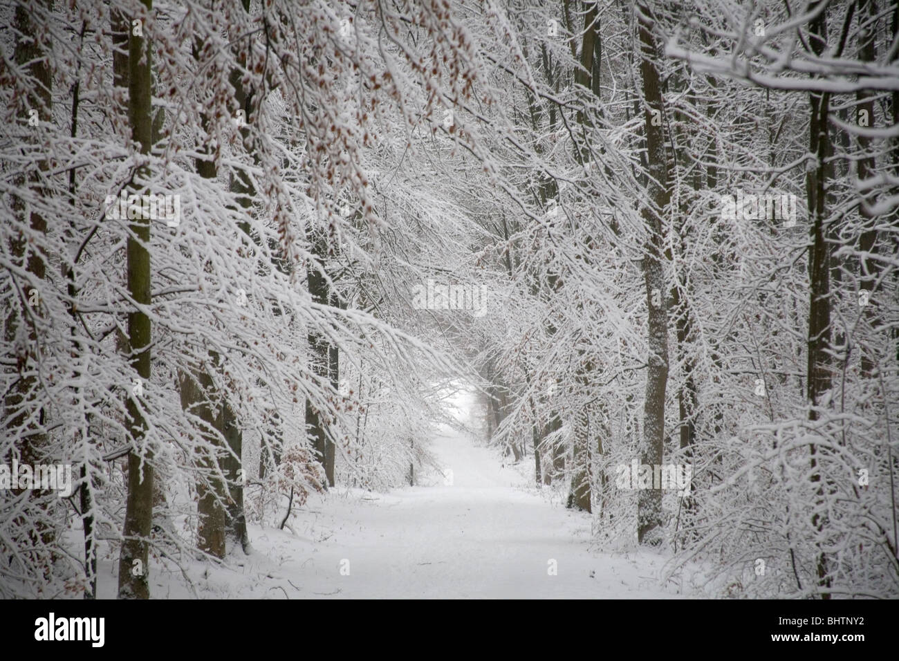 Winter im Deister Winter in Germany Stock Photo - Alamy