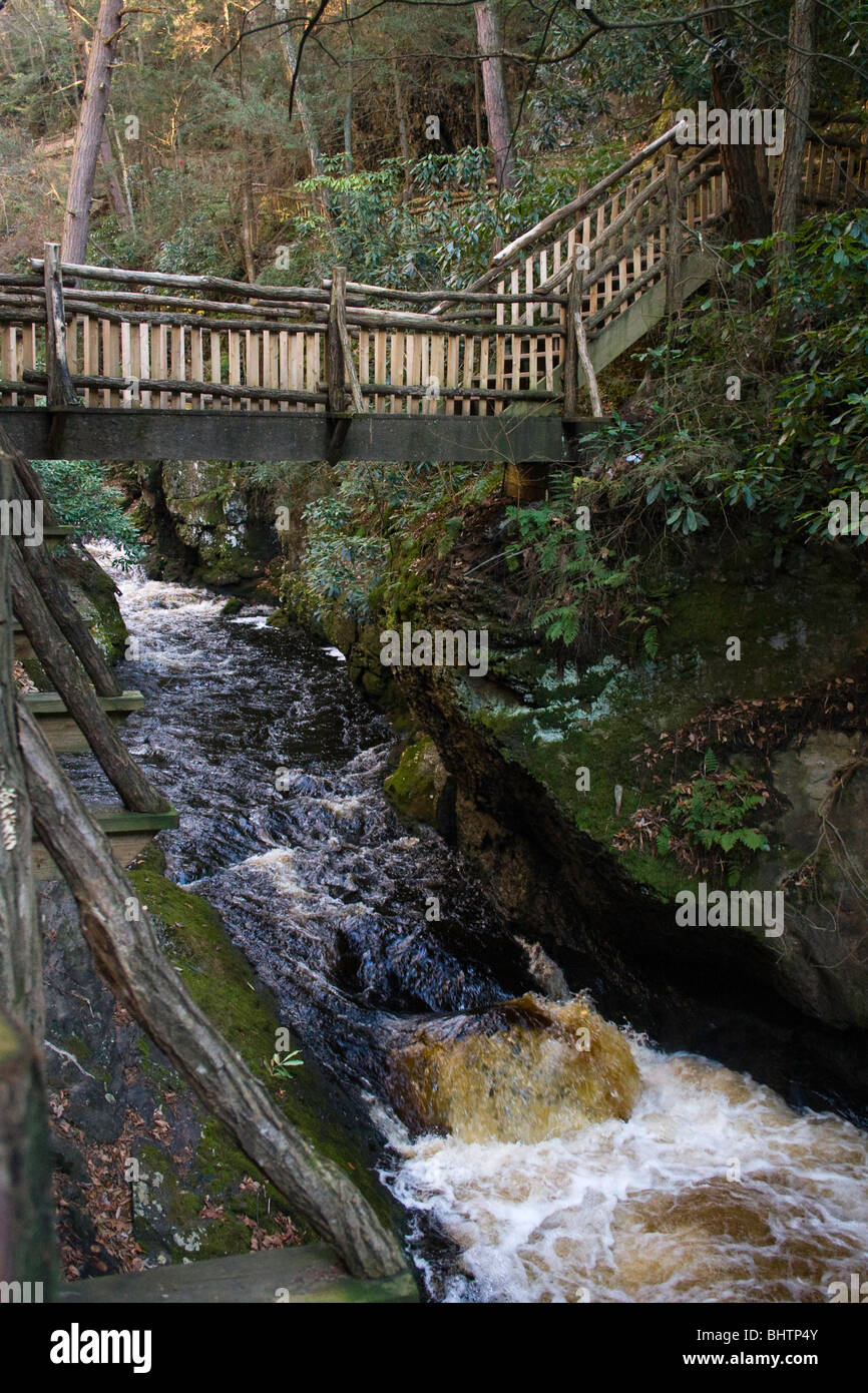 A footbridge improves access in the Lower Gorge of the Delaware Water ...