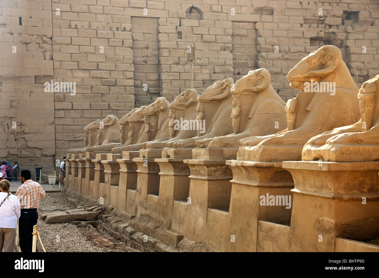 A row of Ram-headed Sphinxes lining one side of the Processional Way to ...