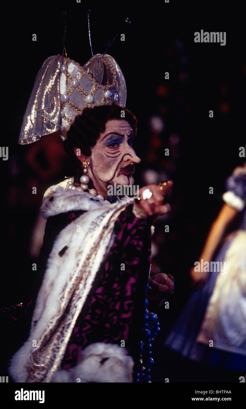 The Duchess Alice In Wonderland Costume