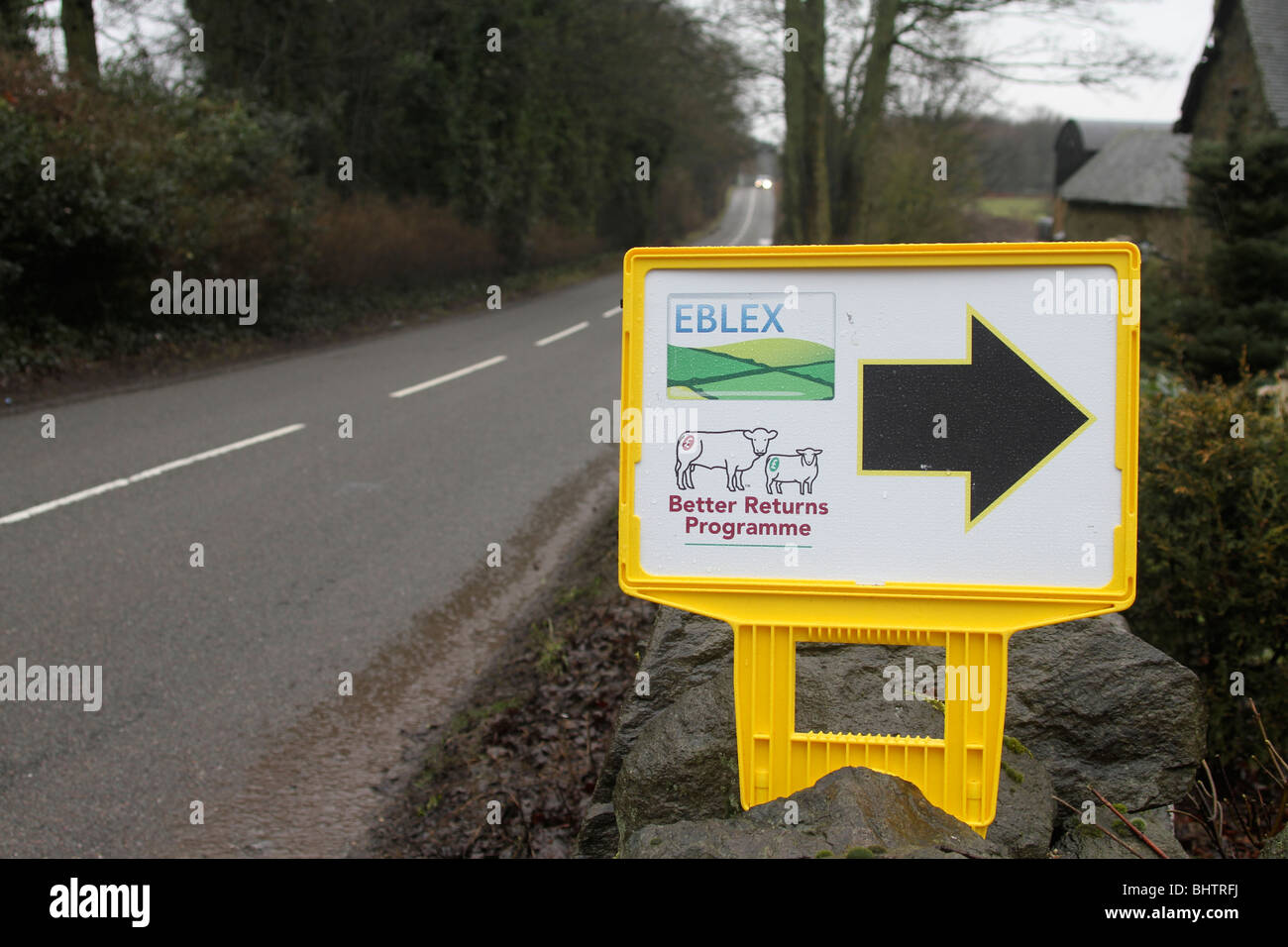 Eblex better returns programme sign Out-wintering cattle on Woodship ...