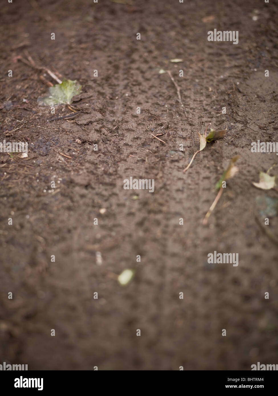 Track Marks High Resolution Stock Photography and Images - Alamy