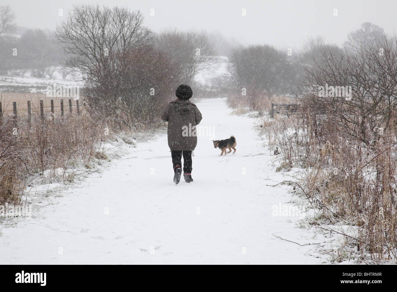 Uk dog walk hi-res stock photography and images - Alamy