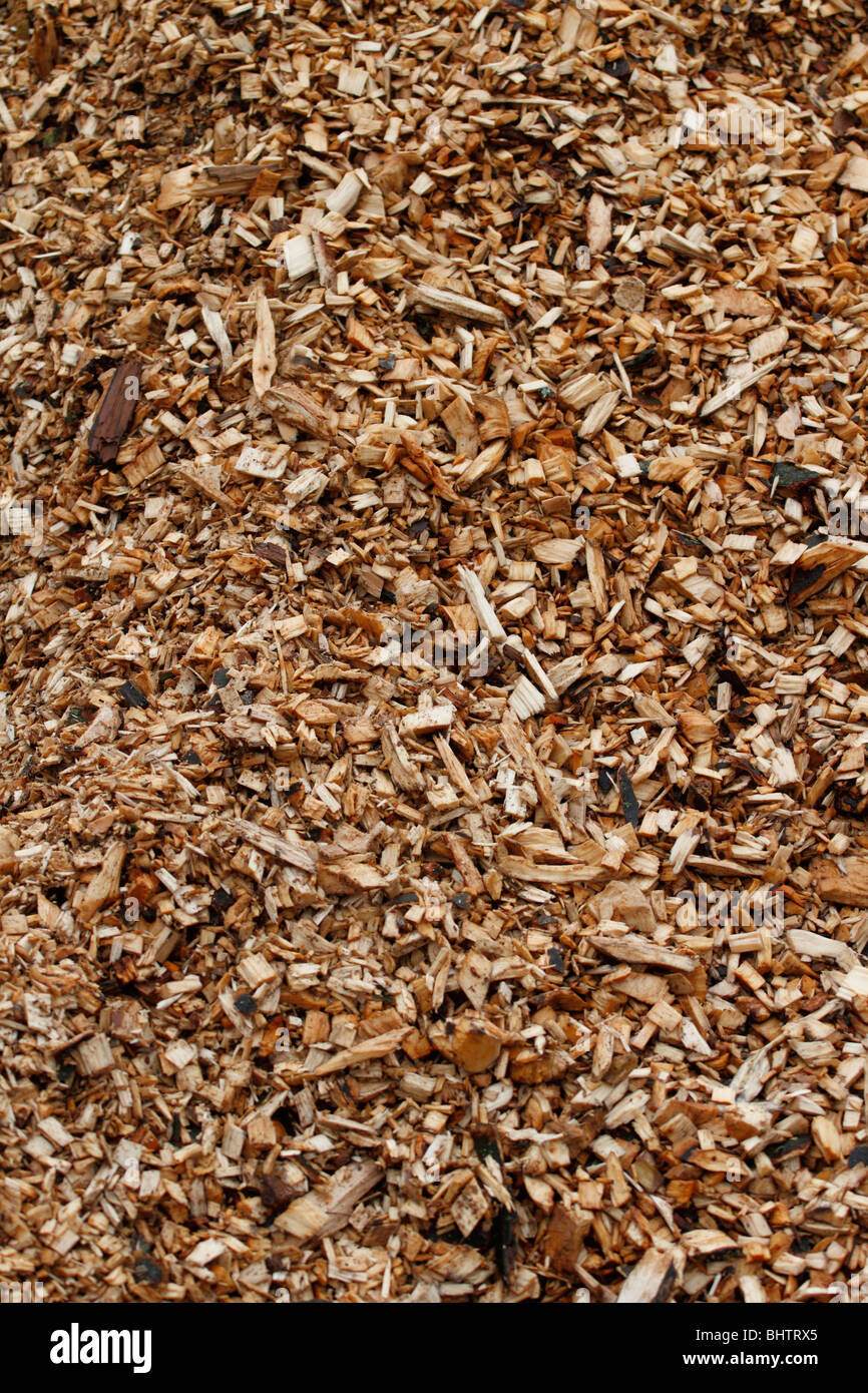 Wintering cattle hi-res stock photography and images - Alamy