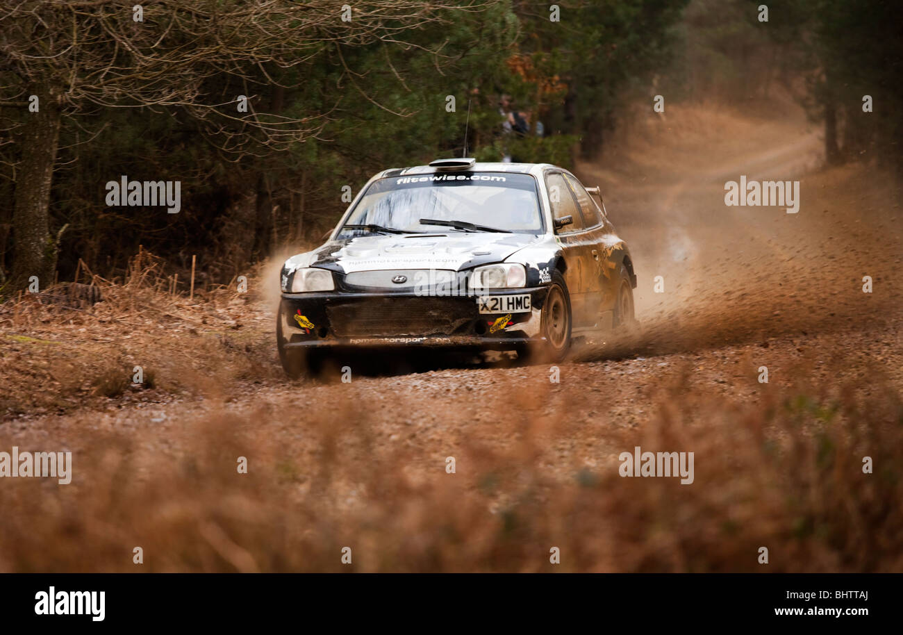 Paul weston bird hi-res stock photography and images - Alamy