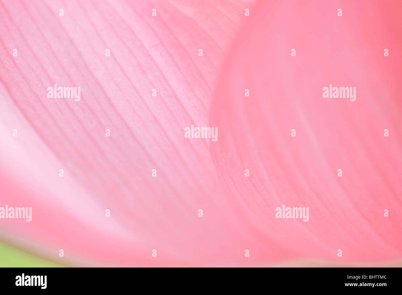 Slocum hi-res stock photography and images - Alamy