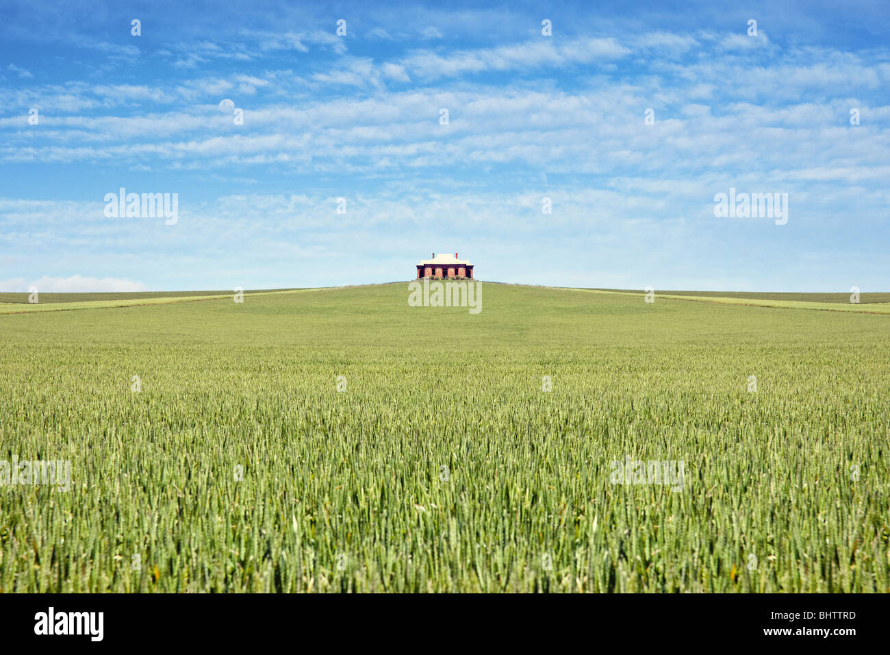 Farmhouse in a wheatfield hi-res stock photography and images - Alamy