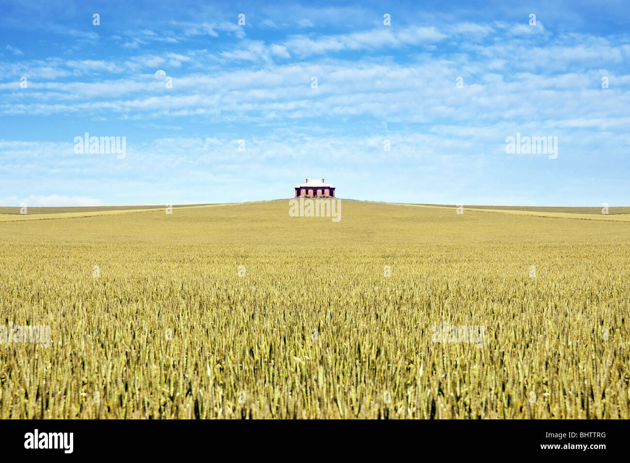 Farmhouse in a wheatfield hi-res stock photography and images - Alamy