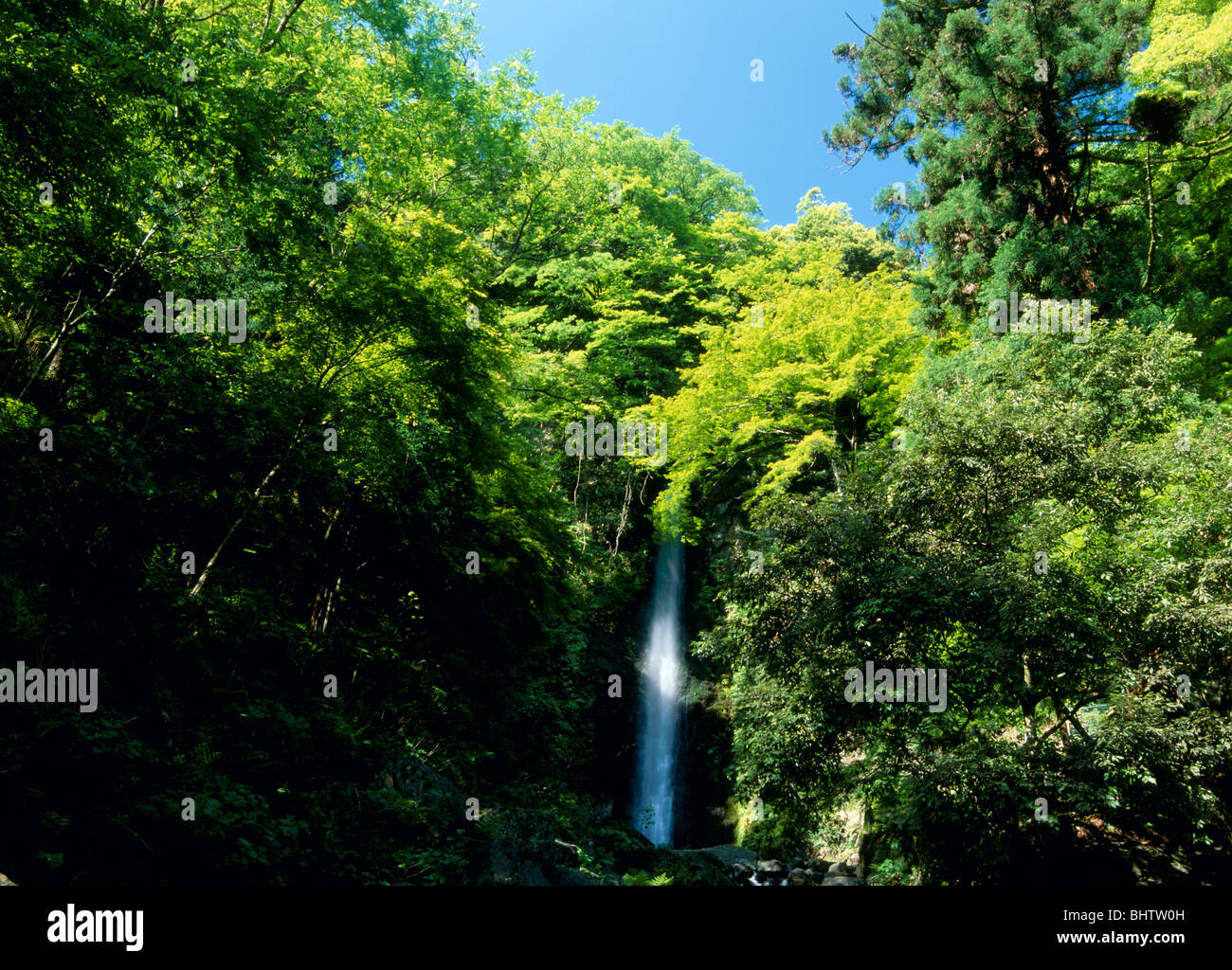 Yoro Falls, Yoro, Gifu, Japan Stock Photo - Alamy