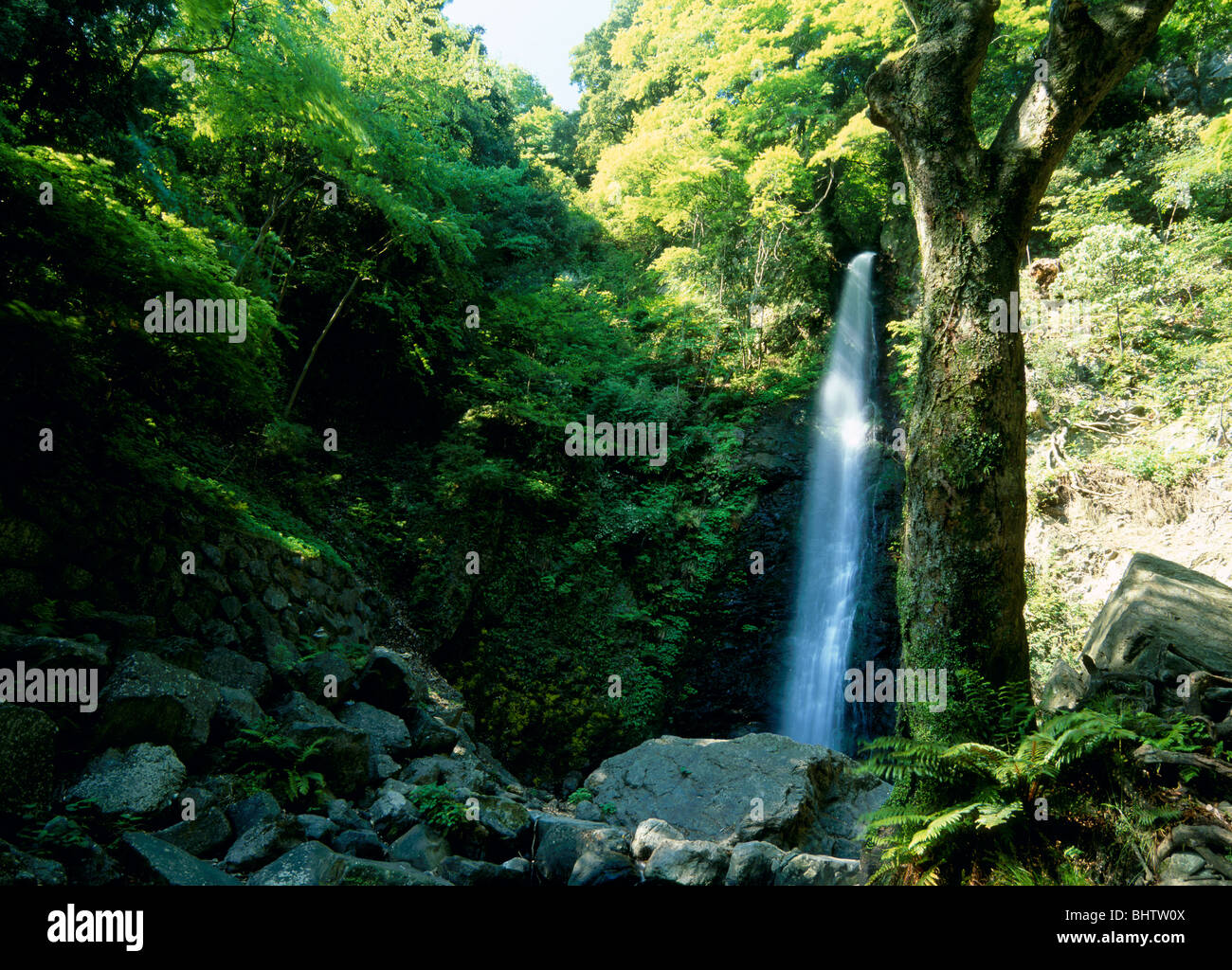 Yo_ro_ falls hi-res stock photography and images - Alamy