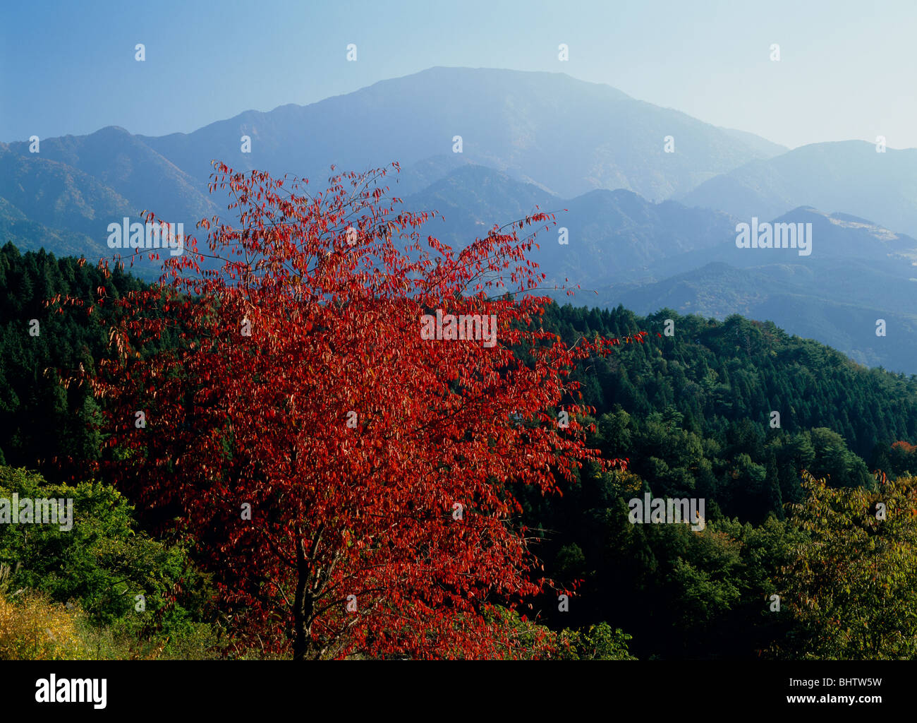 Mount Ena, Nakatsugawa, Gifu, Japan Stock Photo - Alamy