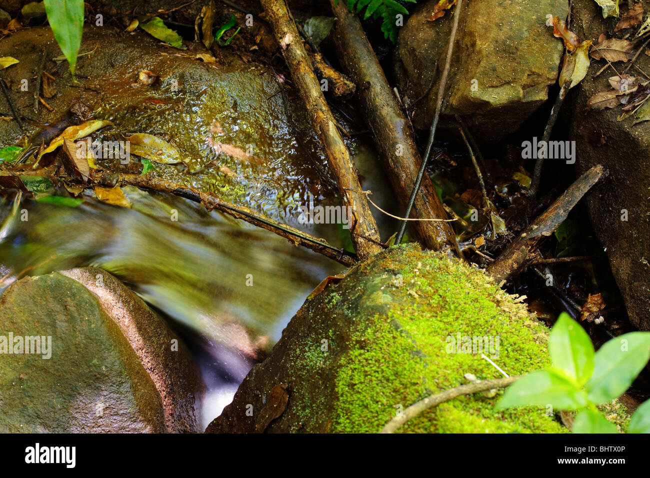 Clear, flowing brook with scattered, moss covered rocks ...