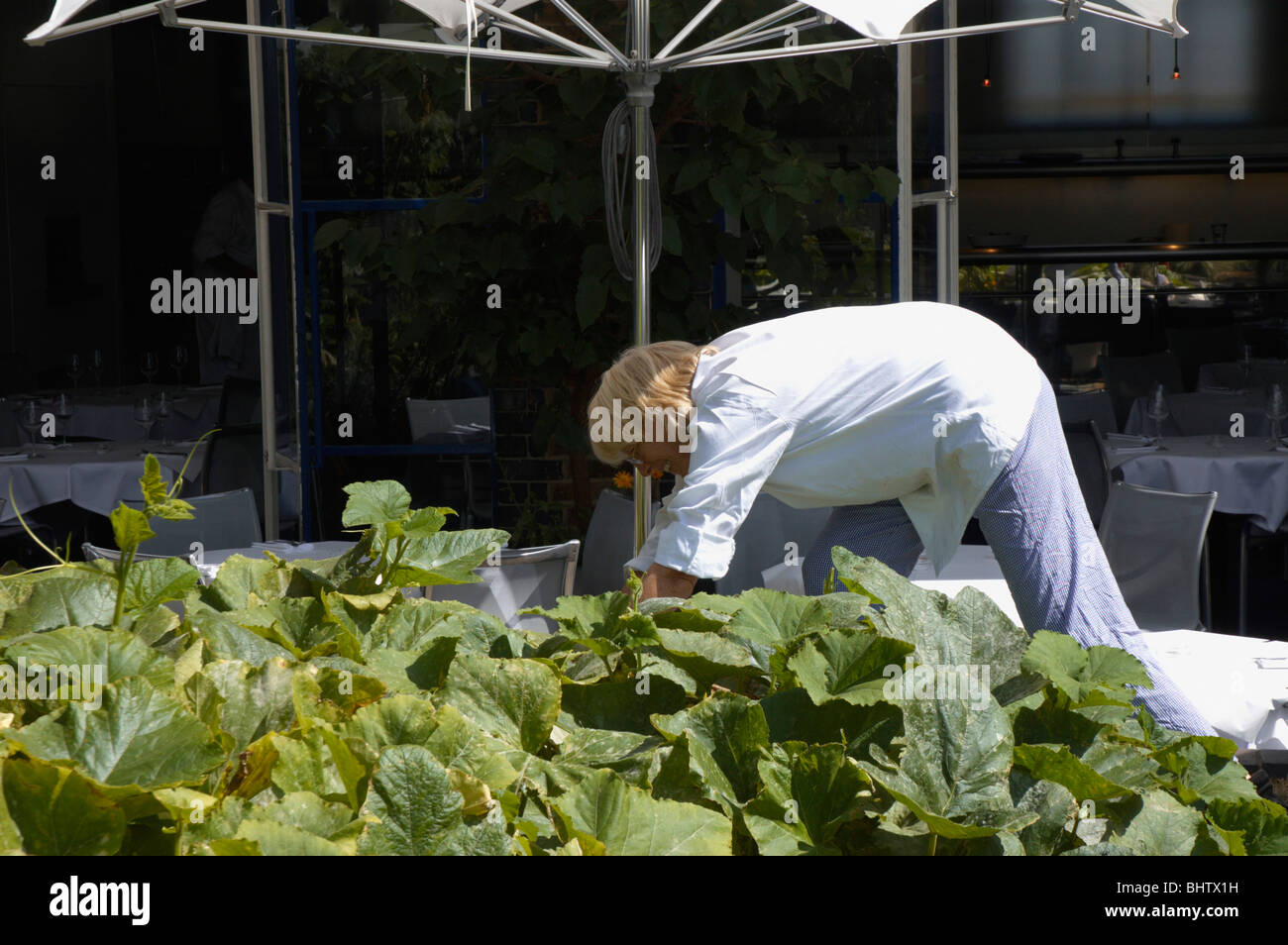 Rose gray river cafe hi-res stock photography and images - Alamy