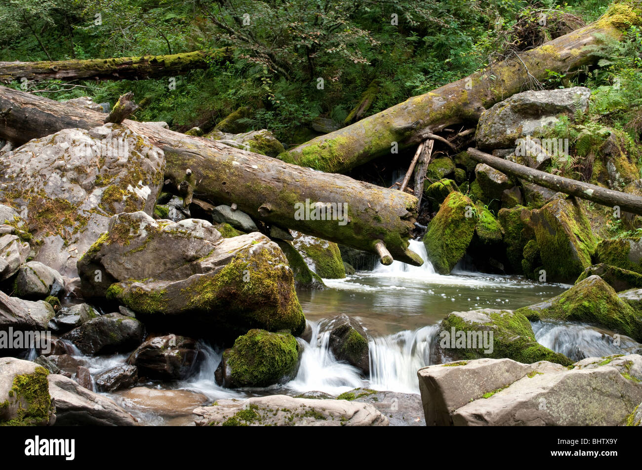 Landscape with rapid river and fallen tree Stock Photo - Alamy