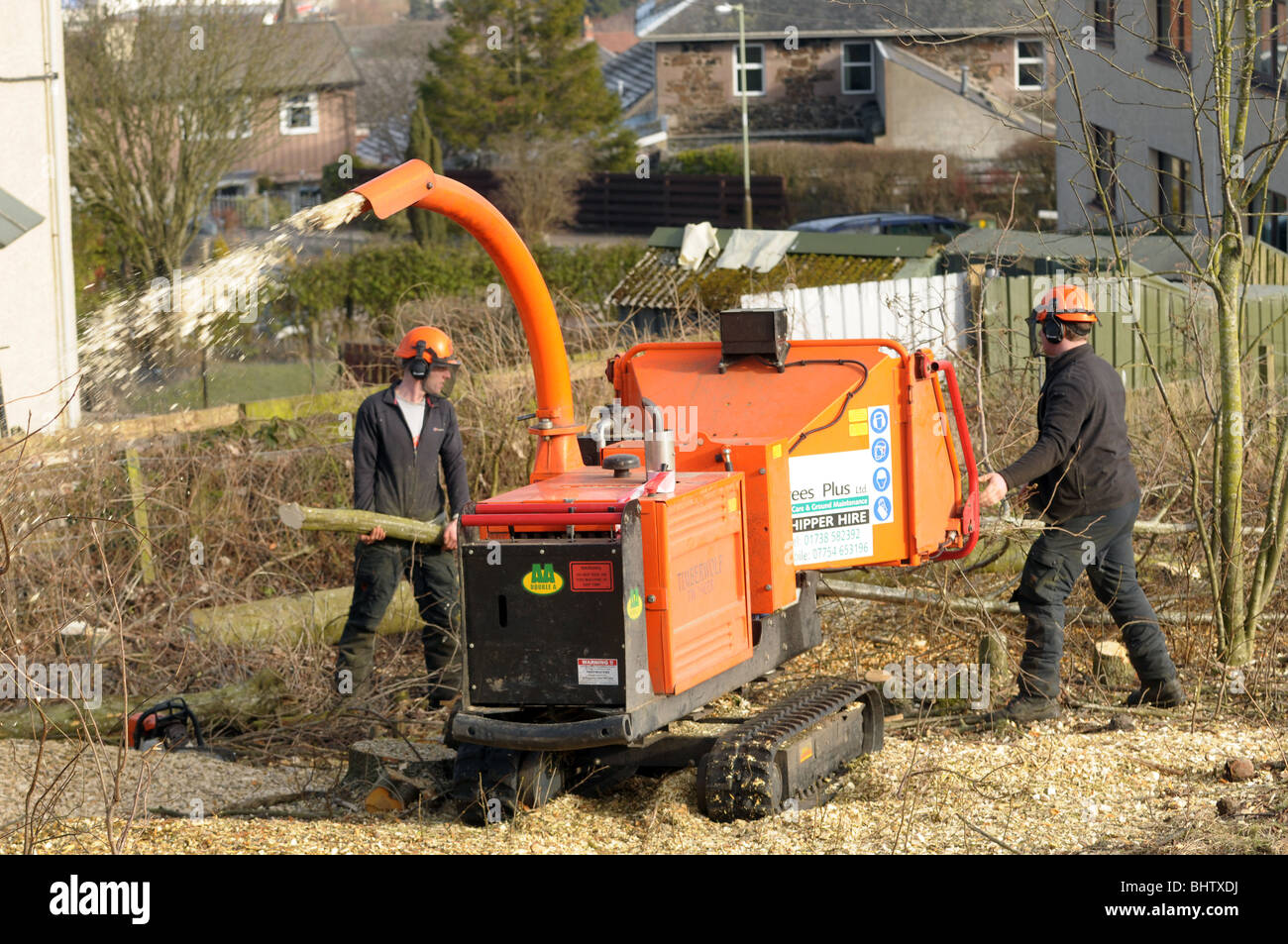 Two men cutting trees hi-res stock photography and images - Alamy