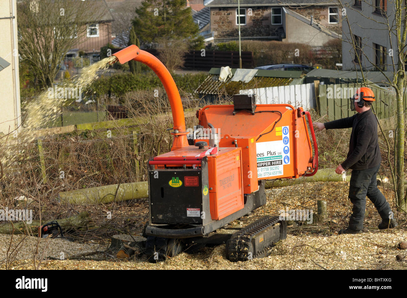 A man feeds trees into wood shredder Stock Photo - Alamy