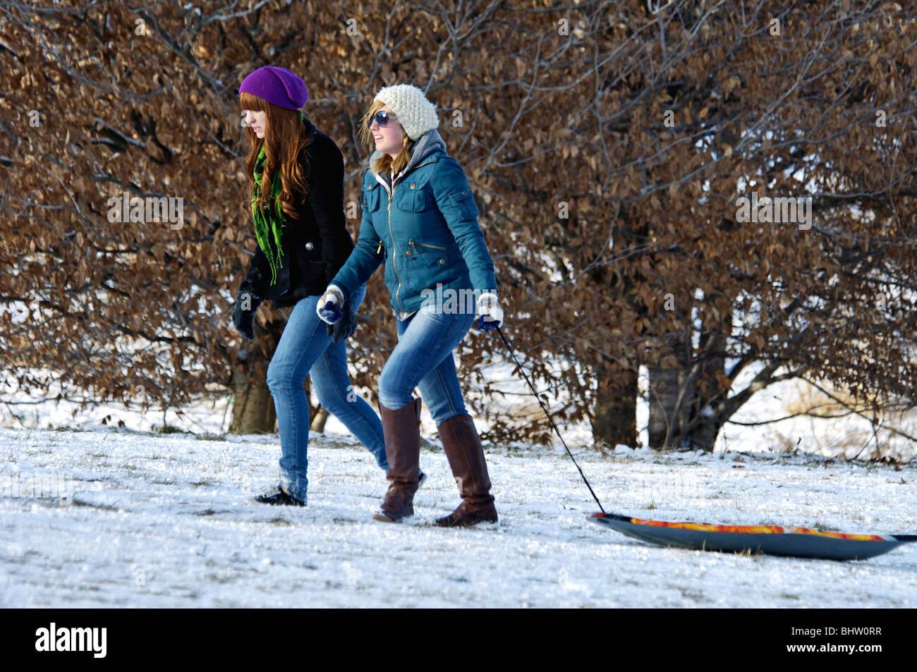 Two Teenage Girls with Sled in Cherokee Park in Louisville, Kentucky ...