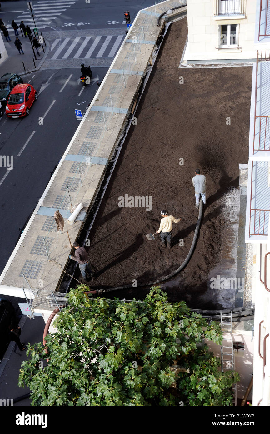 Green roof creation in Paris 6, France Stock Photo - Alamy