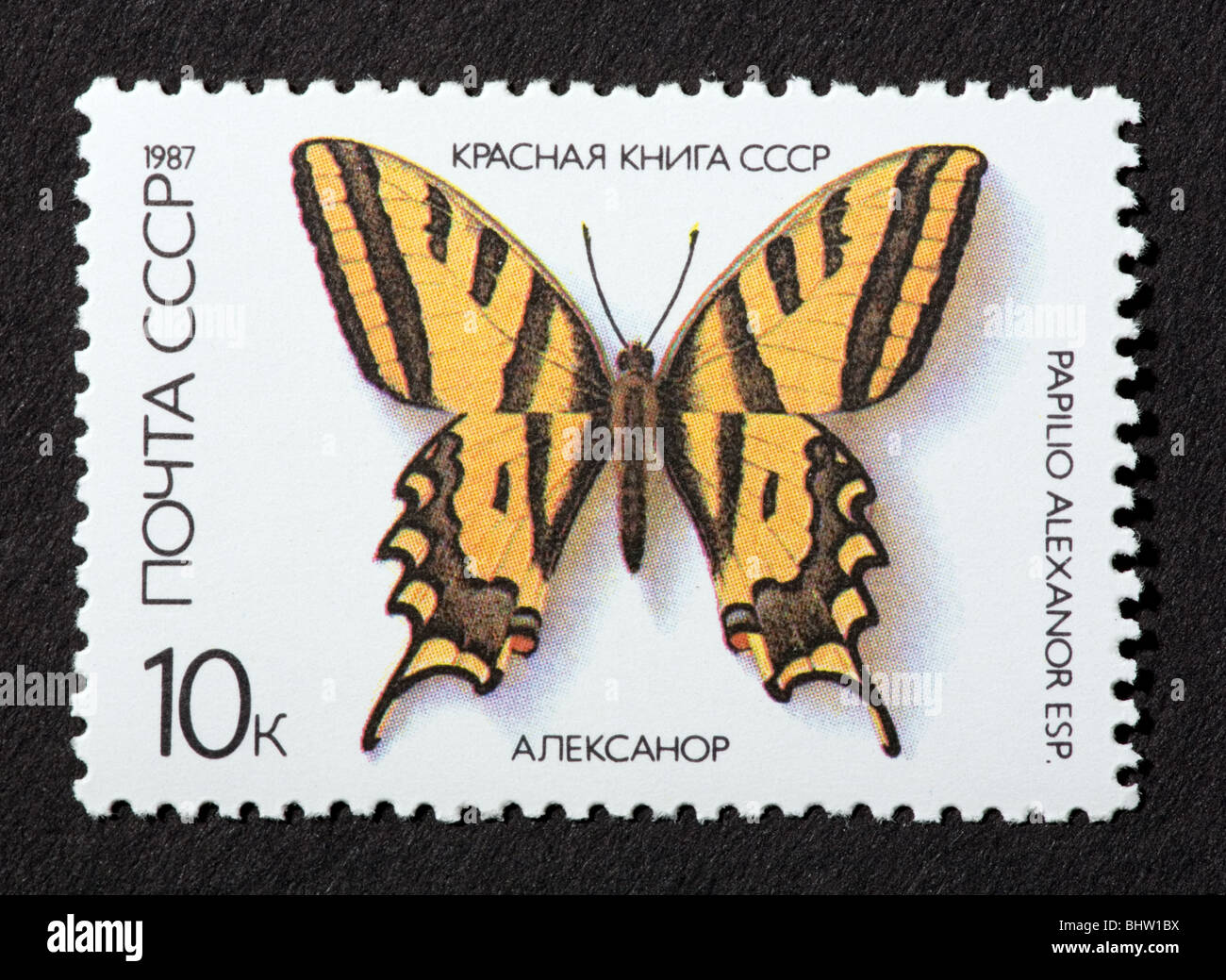Postage stamp from the Soviet Union showing a swallowtail butterfly ...