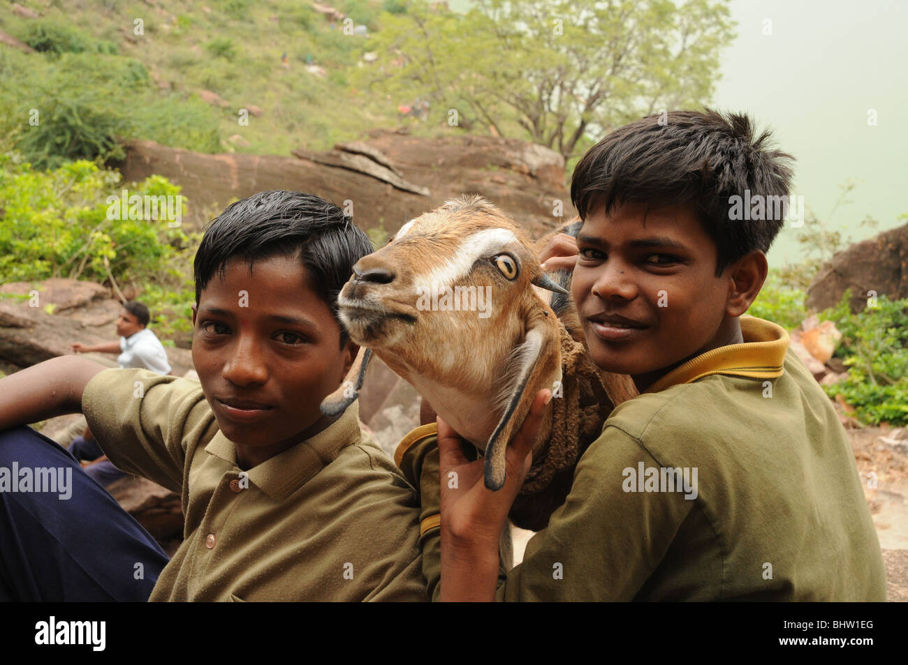 two boys with goat Stock Photo - Alamy