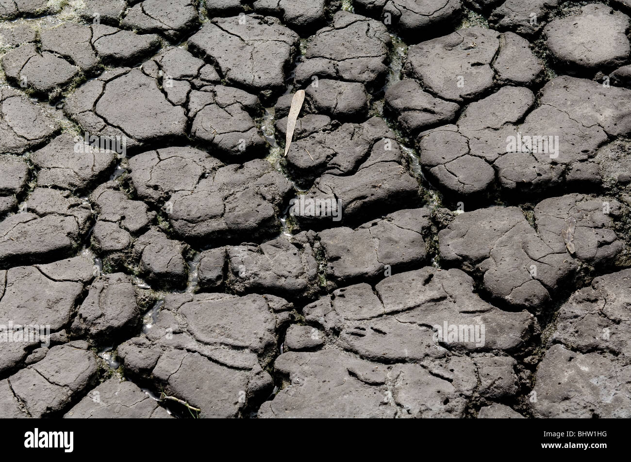Dried up river bed with the cracked earth and mud Stock Photo - Alamy