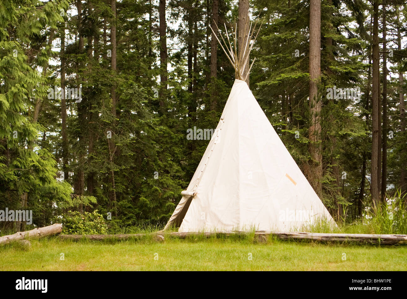 Teepee in woods hi-res stock photography and images - Alamy