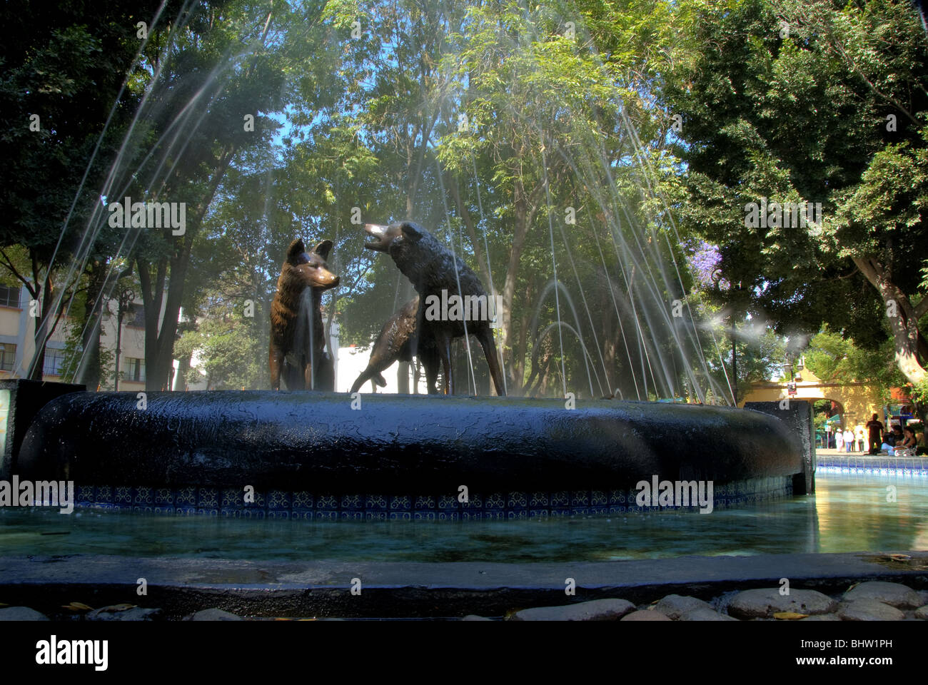 The Coyote Statue, Coyoacán, Mexico city, Mexico Stock Photo - Alamy