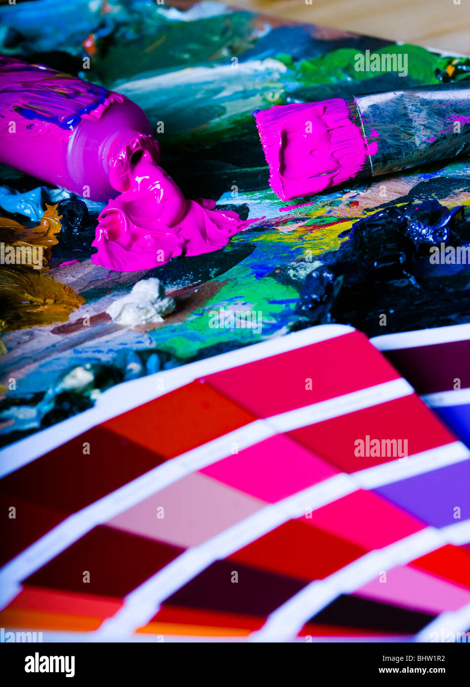Color sampler compared to artistic paint Stock Photo - Alamy